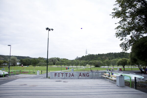 Fittja äng